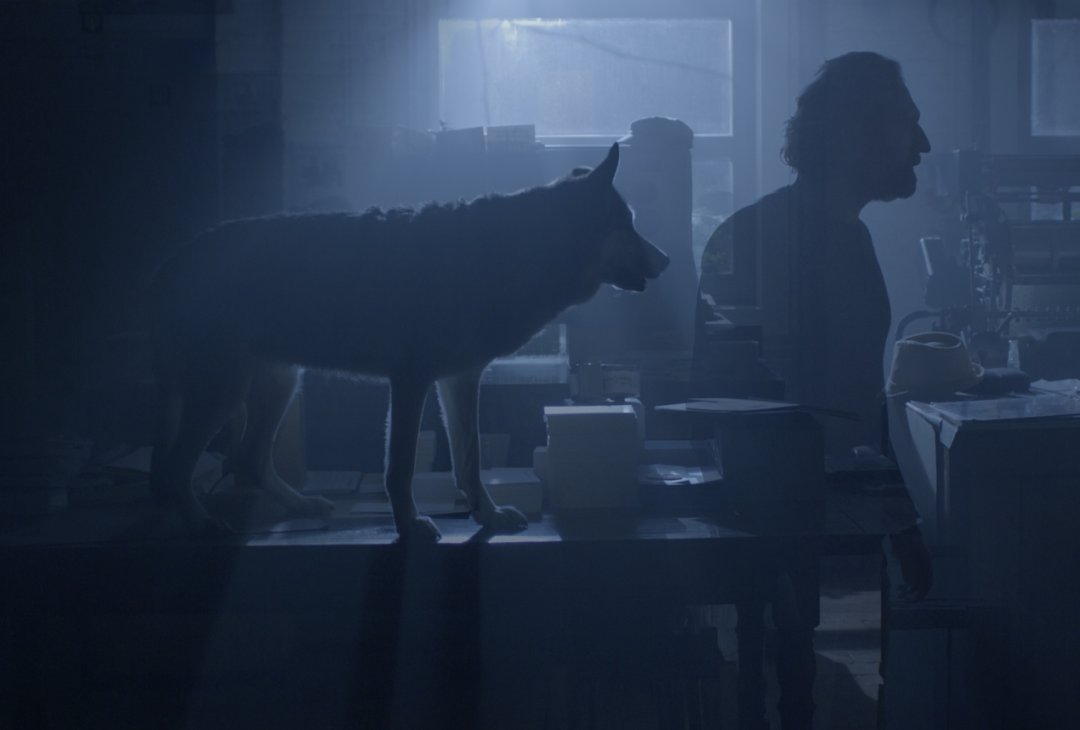 Alias Wolf | De Roma